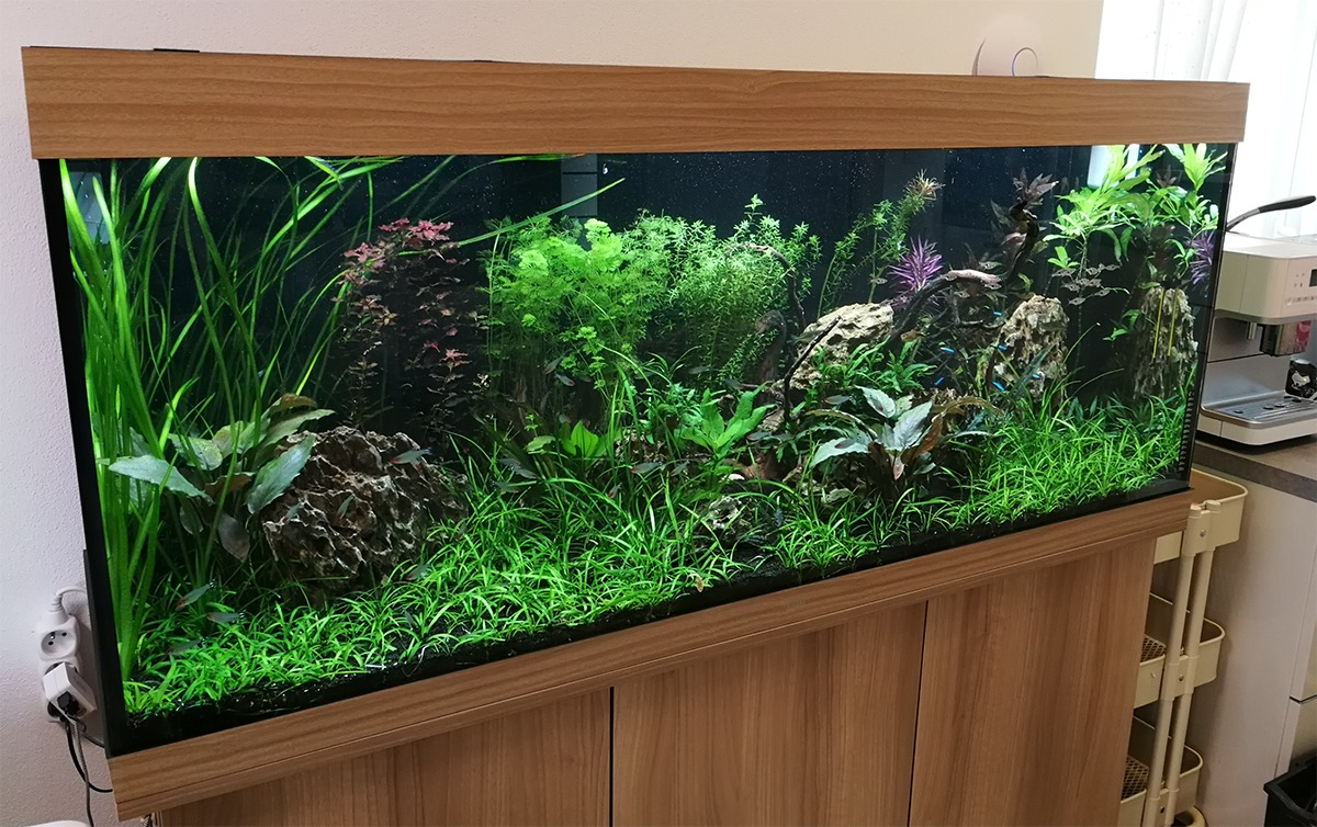 Juwel Rio 400/450LED | Viac informácií na Akvaland.sk