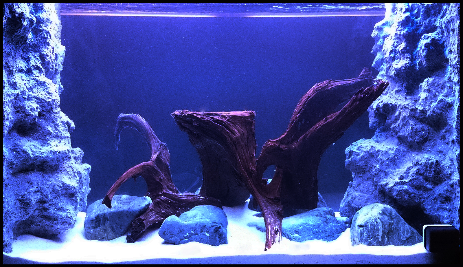 Akvarium 636l - Malawi