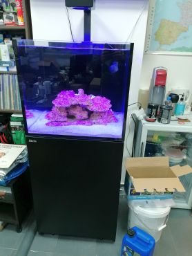 Red Sea Reefer 200XL | Viac informácií na Akvaland.sk